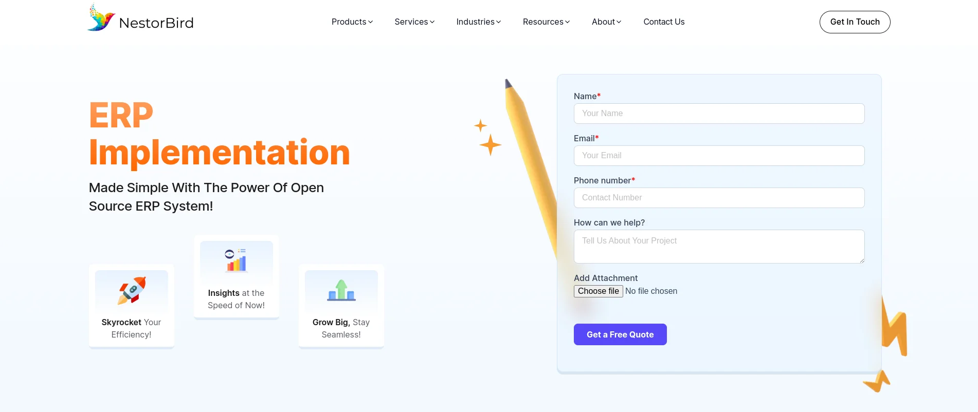 ERP Implementation with Expert Guidance | NestorBird